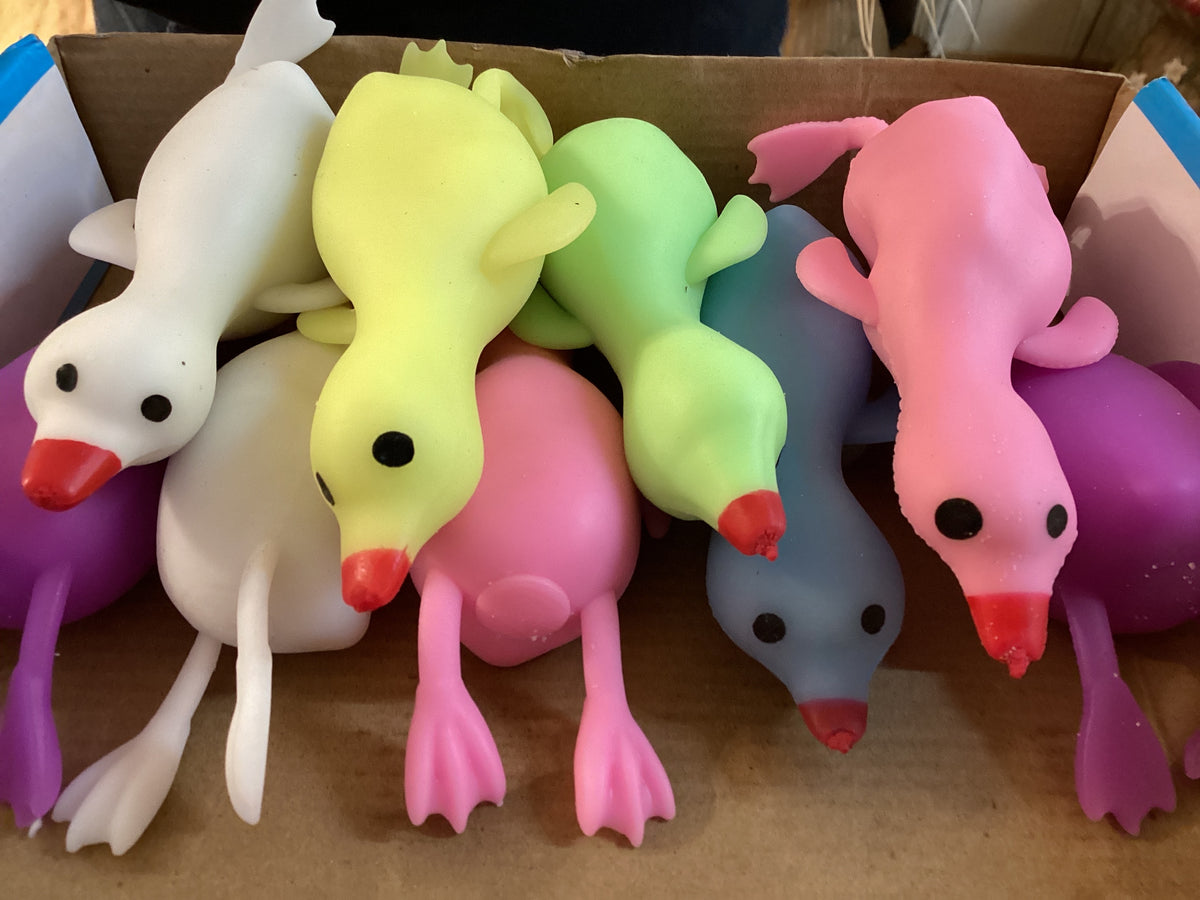 Stress Ducks – Parkhurst Pumpkin Patch